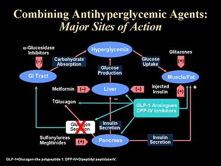 Examining the Future of Incretin Therapy