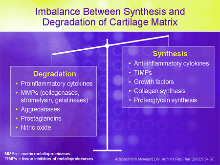 Integrating Viscosupplementation Into a Comprehensive Osteoarthritis Treatm