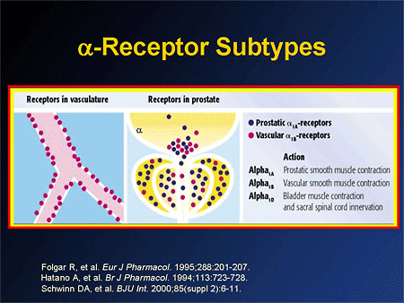 Improving Outcomes in BPH: A Review of Intervention Strategies in the ...