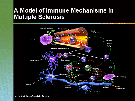 Emerging Concepts in the Pathogenesis and Treatment of MS