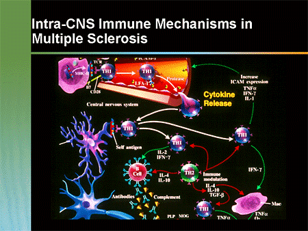 Emerging Concepts in the Pathogenesis and Treatment of MS