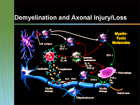 Emerging Concepts in the Pathogenesis and Treatment of MS