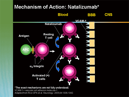 Emerging Concepts in the Pathogenesis and Treatment of MS