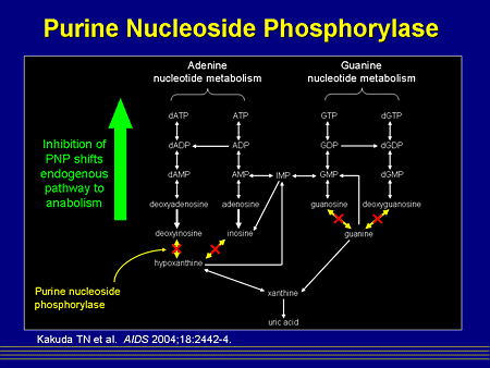 HIV Management, The New York Course: Beyond the First Quarter Century