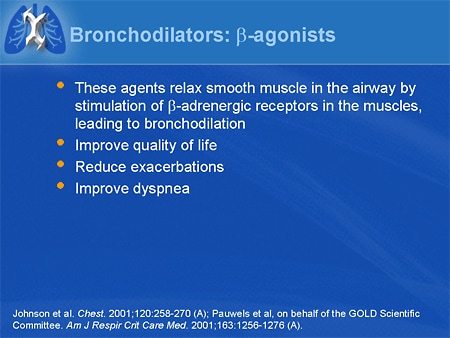 Guidelines, Pharmacotherapy, Options for Treatment of Patients With COPD