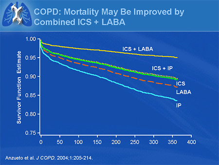 Guidelines, Pharmacotherapy, Options for Treatment of Patients With COPD