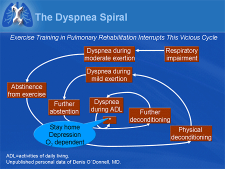 Guidelines, Pharmacotherapy, Options for Treatment of Patients With COPD