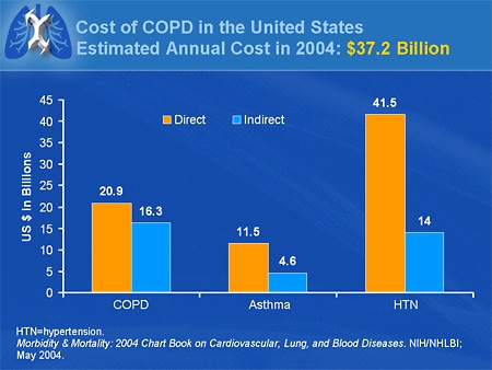 Guidelines, Pharmacotherapy, Options for Treatment of Patients With COPD
