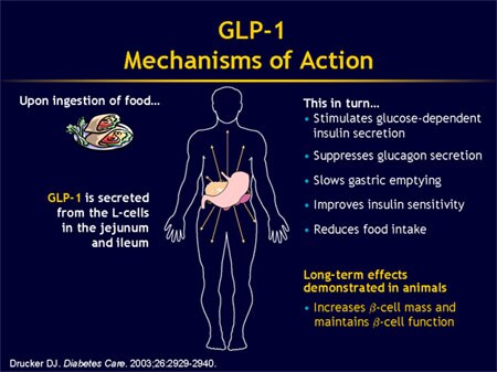 Can Islet Cell Function Be Improved Through Incretin Enhancement?