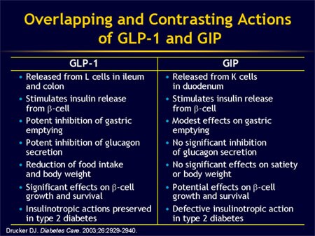 Can Islet Cell Function Be Improved Through Incretin Enhancement?