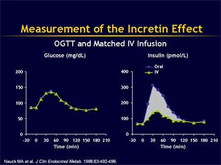Can Islet Cell Function Be Improved Through Incretin Enhancement?