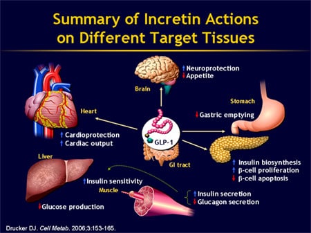 Can Islet Cell Function Be Improved Through Incretin Enhancement?