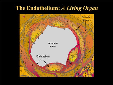 Is There an Intrinsic Vascular Benefit to TZDs? Examining the Evidence