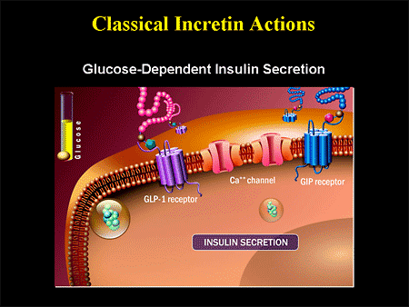 Resurrecting the Beta Cell in Type 2 Diabetes
