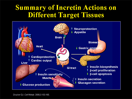 Resurrecting the Beta Cell in Type 2 Diabetes