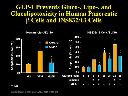 Resurrecting the Beta Cell in Type 2 Diabetes