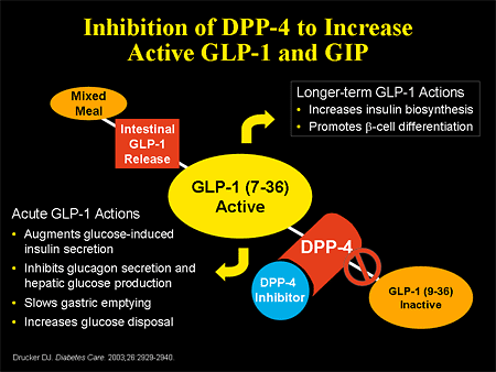 Resurrecting the Beta Cell in Type 2 Diabetes
