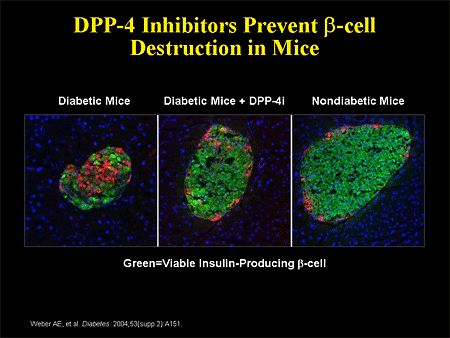 Resurrecting the Beta Cell in Type 2 Diabetes