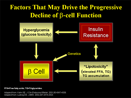 Resurrecting the Beta Cell in Type 2 Diabetes