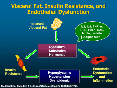Type 2 Diabetes: Reducing Insulin Resistance and Cardiovascular Risk