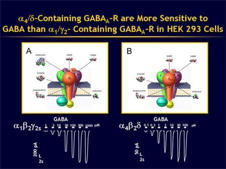 Navigating Neuronal Pathways: Novel Targets for the Management of Sleep ...