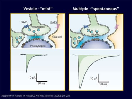 Navigating Neuronal Pathways: Novel Targets for the Management of Sleep ...