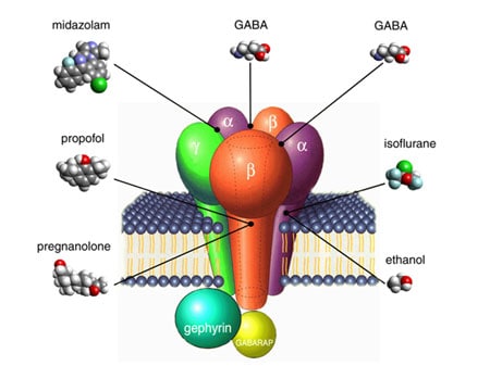 Navigating Neuronal Pathways: Novel Targets for the Management of Sleep ...
