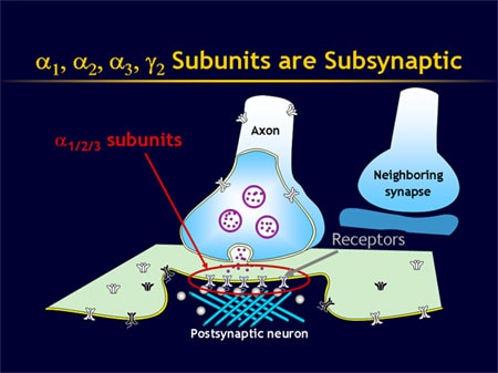 Navigating Neuronal Pathways: Novel Targets for the Management of Sleep ...