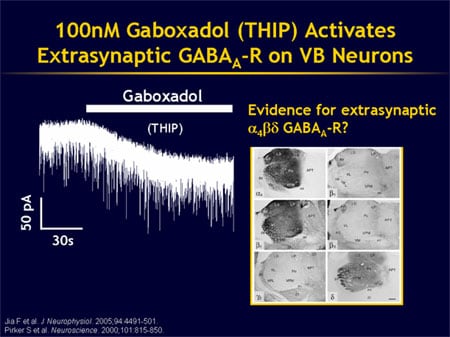 Navigating Neuronal Pathways: Novel Targets for the Management of Sleep ...