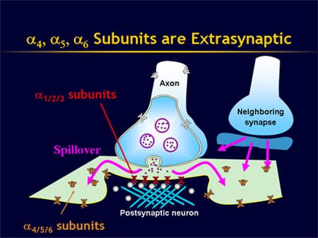 Navigating Neuronal Pathways: Novel Targets for the Management of Sleep ...