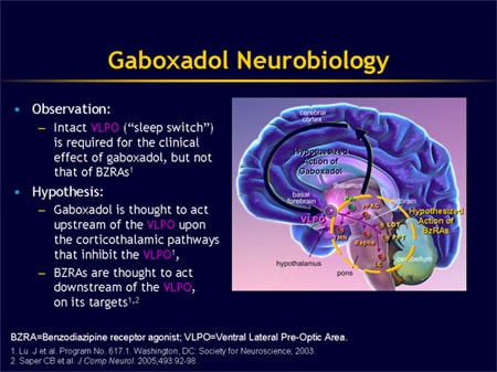 Navigating Neuronal Pathways: Novel Targets for the Management of Sleep ...