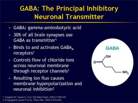 Navigating Neuronal Pathways: Novel Targets for the Management of Sleep ...