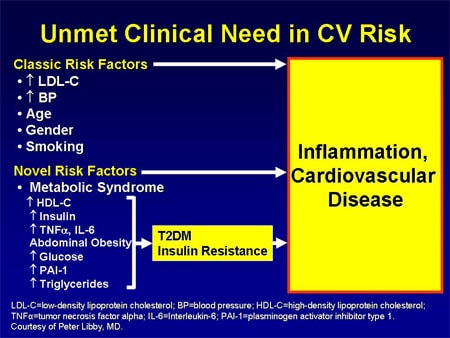 New Approaches to CV Risk Reduction: Beyond the Numbers