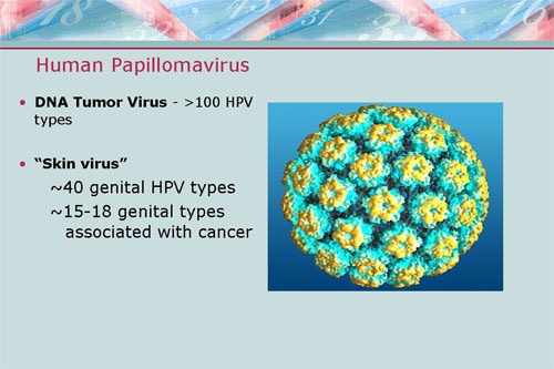 Pediatricians at the Forefront of Preventing Cervical Cancer