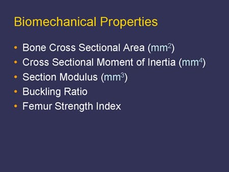 Modern Advances in the Understanding of Bone Structure