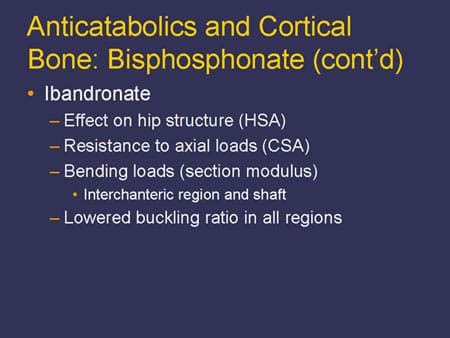 Modern Advances in the Understanding of Bone Structure