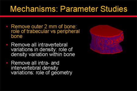 Modern Advances in the Understanding of Bone Structure