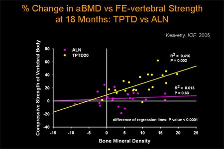 Modern Advances in the Understanding of Bone Structure