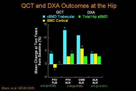 Modern Advances in the Understanding of Bone Structure