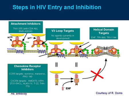 Consult With the HIV Experts: Optimizing Therapy for Treatment-Experienced