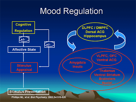 Mood Disorders: Management and Treatment Strategies for the 21st Century