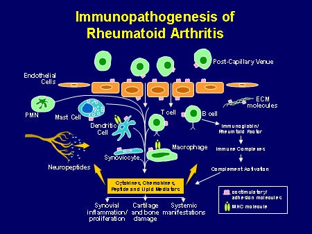 Changing the Treatment of Rheumatic Diseases: Optimal Use of Biologic ...