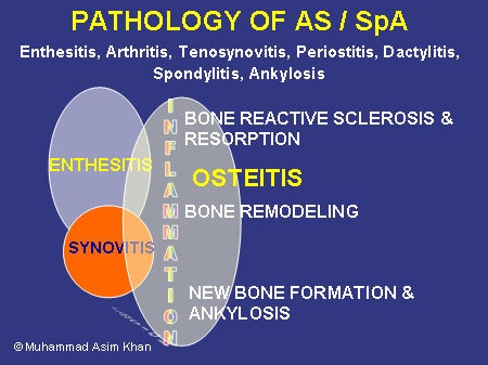 Changing the Treatment of Rheumatic Diseases: Optimal Use of Biologic ...
