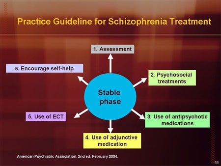 Optimizing Care for Patients with Schizophrenia: Improving Patient ...