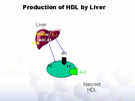 Omega-3 and Other Novel Pharmacological Approaches in Managing ...
