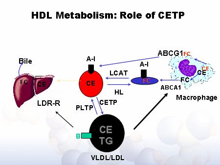 Omega-3 and Other Novel Pharmacological Approaches in Managing ...