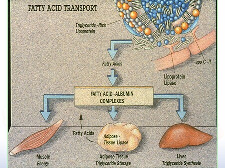 Omega-3 and Other Novel Pharmacological Approaches in Managing ...