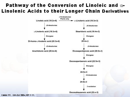 Omega-3 and Other Novel Pharmacological Approaches in Managing ...