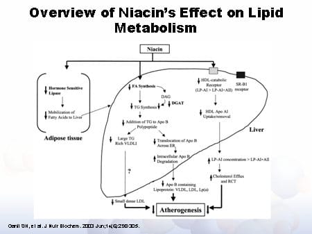 Omega-3 and Other Novel Pharmacological Approaches in Managing ...