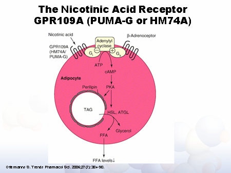 Omega-3 and Other Novel Pharmacological Approaches in Managing ...